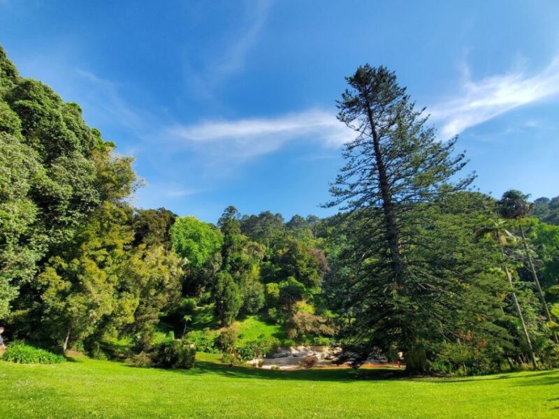 Sintra: Self-Driven Trip with Route-Planning Support - Practical details and considerations
