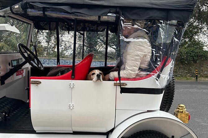 Sintra Tour by Electric Tuk Tuk - Final Thoughts