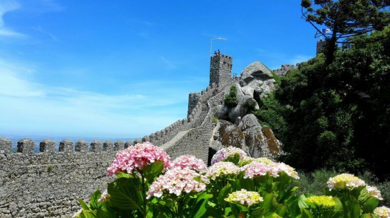 Sintra: Truly Private Tour to Pena Palace & Regaleira - Back to Lisbon—A Relaxed Finish