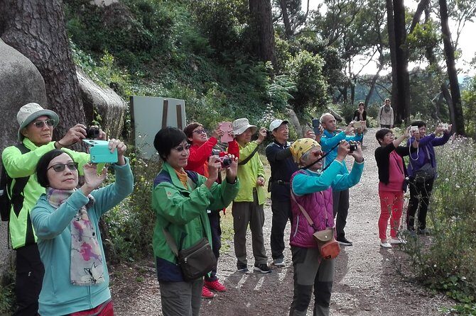 Sintra with tickets to monuments private tour from Lisbon - The Takeaway