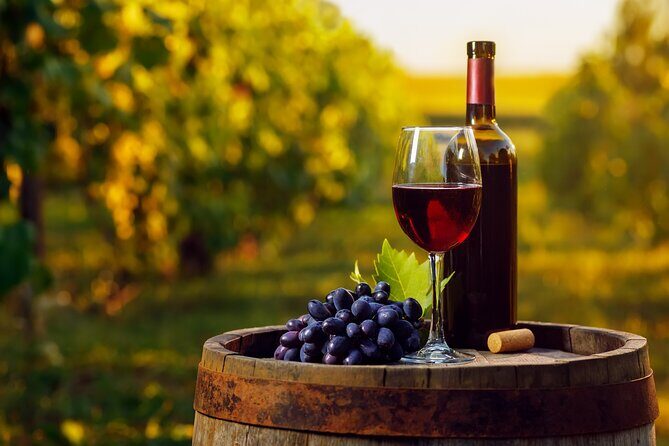 Sip and Savor: Private Yarra Valley Wine Tour from Melbourne - What the Reviews Tell Us