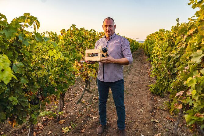 Sip and Savor: Private Yarra Valley Wine Tour from Melbourne - Final Thoughts