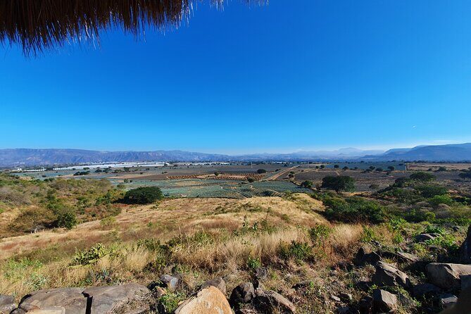Sip & Savor Tequila Experience Distillery w/ Lunch fr Guadalajara - Authenticity and Value for Money