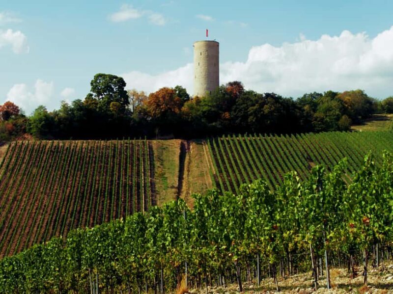 Sip Wine Along the Rhine - Grape Day out from Frankfurt - Exploring the UNESCO World Heritage Site