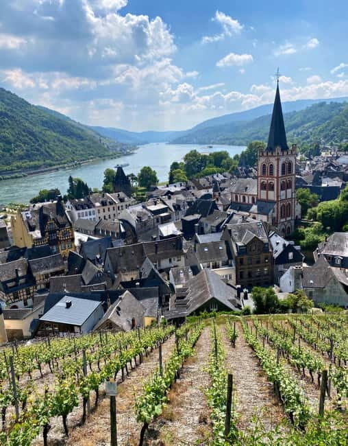 Sip Wine Along the Rhine - Grape Day out from Frankfurt - Key Points