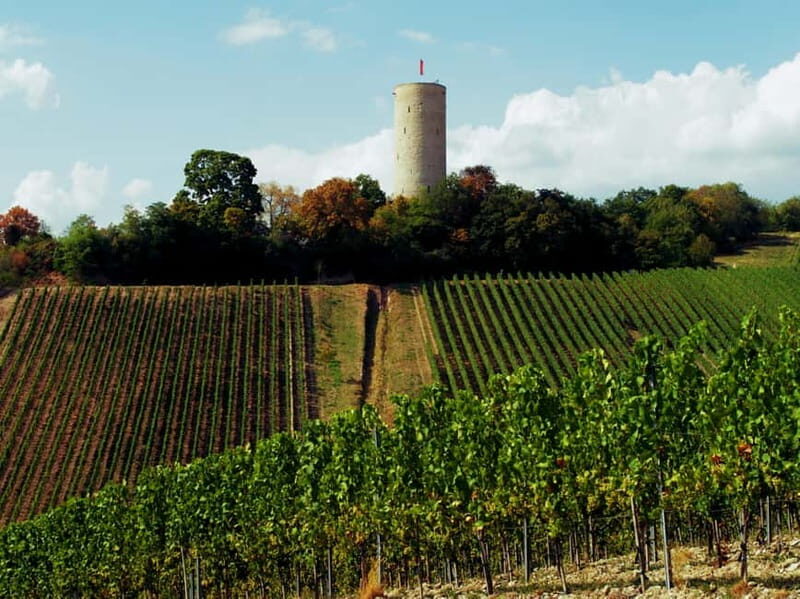 Sip Wine Along the Rhine - Grape Day out from Frankfurt - The Itinerary Breakdown