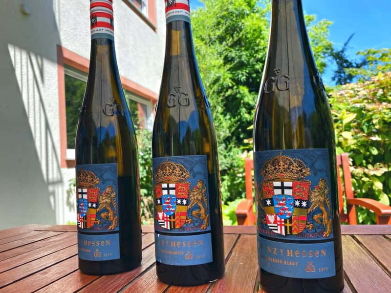Sip Wine Along the Rhine - Grape Day out from Frankfurt - Who Should Consider This Tour?
