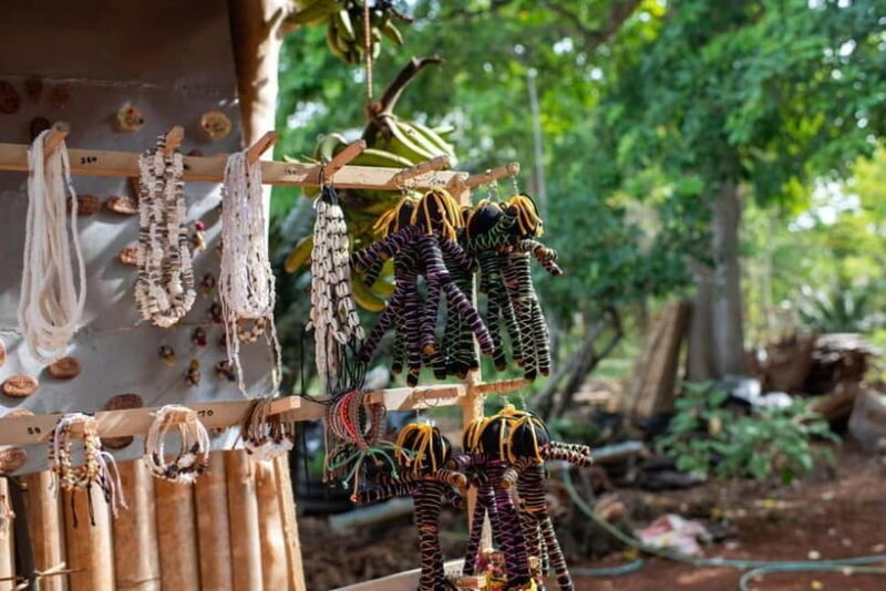 Siquijor Day Tour from Bohol- Shared Tour - Exploring the Key Highlights