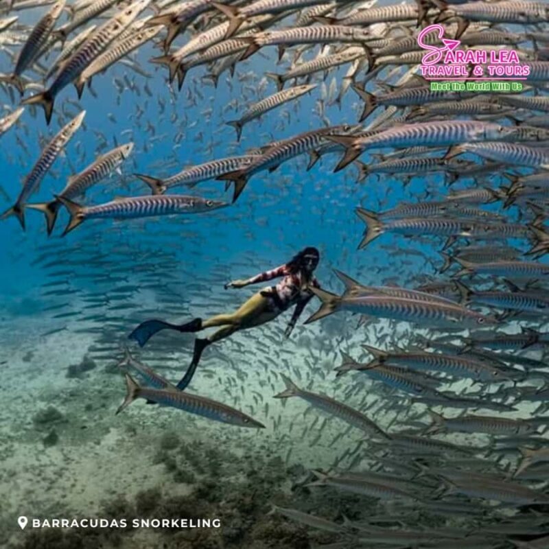 Siquijor: Island Adventure Day Trip with Snorkeling & Falls - An In-Depth Look at Your Siquijor Day