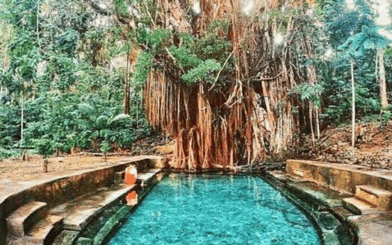 Siquijor Mountain Day Tour From Dumaguete (Private Tour) - Snorkeling at Tubod Sanctuary