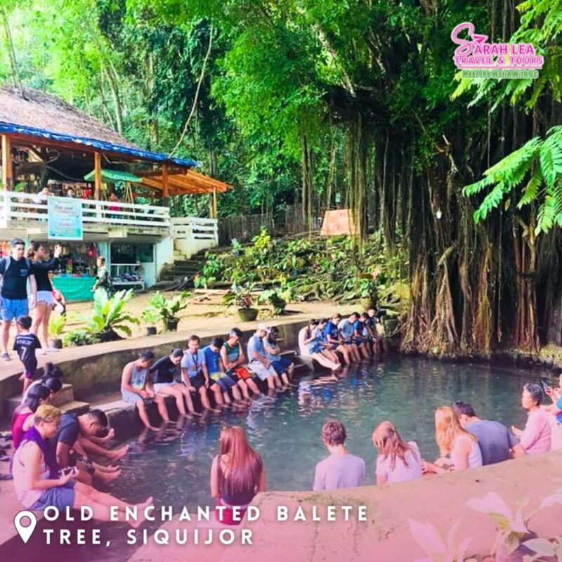 Siquijor: Ultimate Coastal Tour - Beaches & Iconic Landmarks - The Sum Up