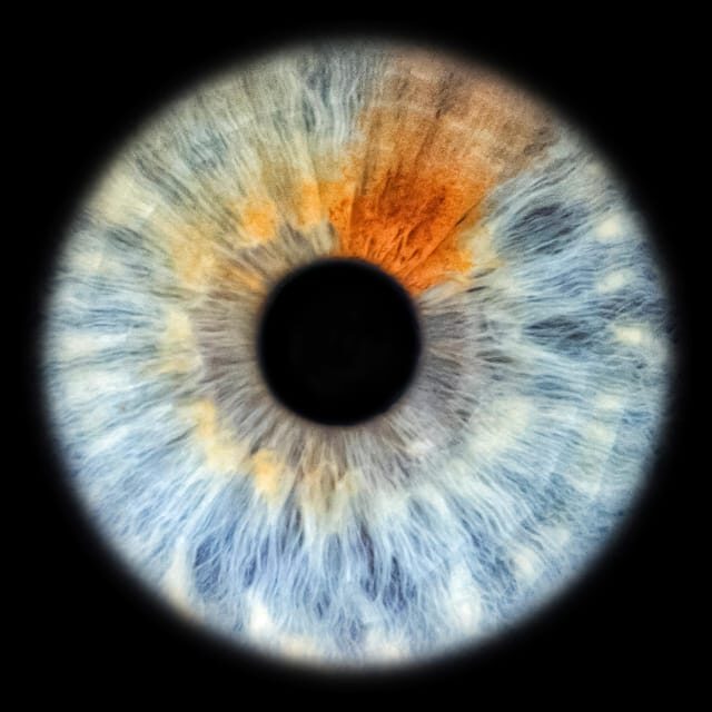 Siracusa Iris Photography Experience - An In-Depth Look at the Siracusa Iris Photography Experience