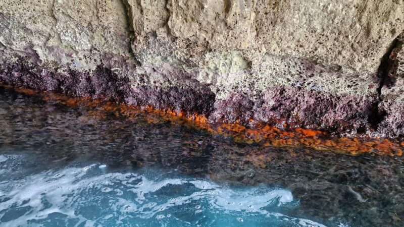 Siracusa: PRIVATE boat excursion 2,5h - Final Thoughts