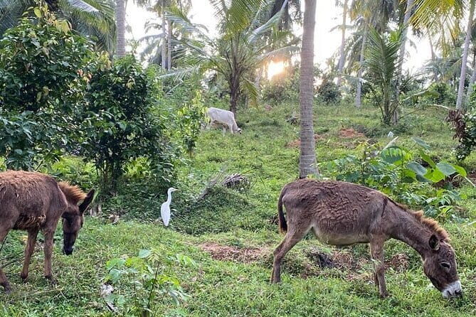 Sirin Park Eco Tour in Sri Lanka - Key Points