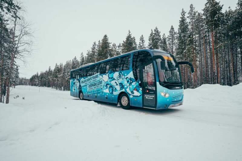 Sirkka: Levi Ice-Karting Experience with Optional Transfer - An In-Depth Look at the Levi Ice-Karting Tour