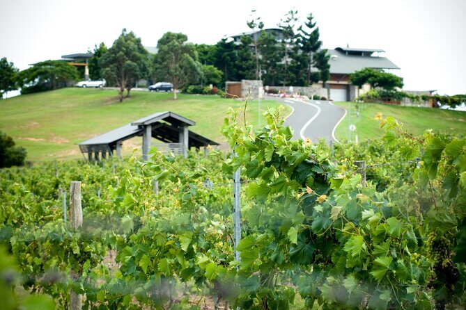 Sirromet Wine Tasting and Blending Workshop for 2 - The Sum Up
