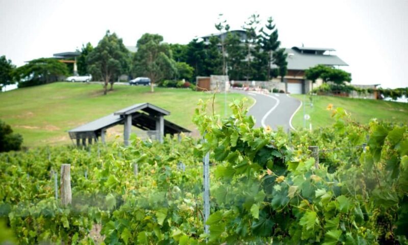 Sirromet Winery A Petit Pairing - Key Points