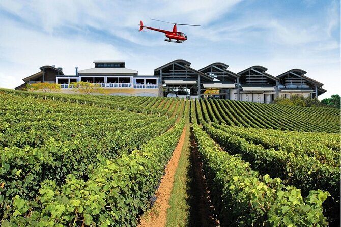 Sirromet Winery + CBD & Mt Coot-tha Private Helicopter Experience - A Closer Look at the Experience