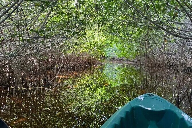 Sisal & Mangroves Kayak Tour from Merida - The Sum Up: Who Will Enjoy This Tour?