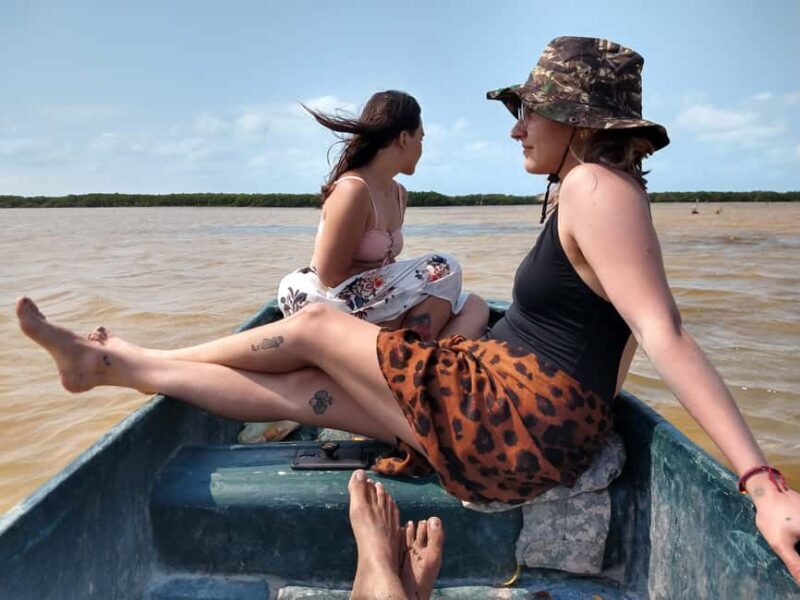 Sisal Yucatán: Flamingo Safari Tour Mangroves - A No-Nonsense Guide to the Flamingo Safari in Sisal
