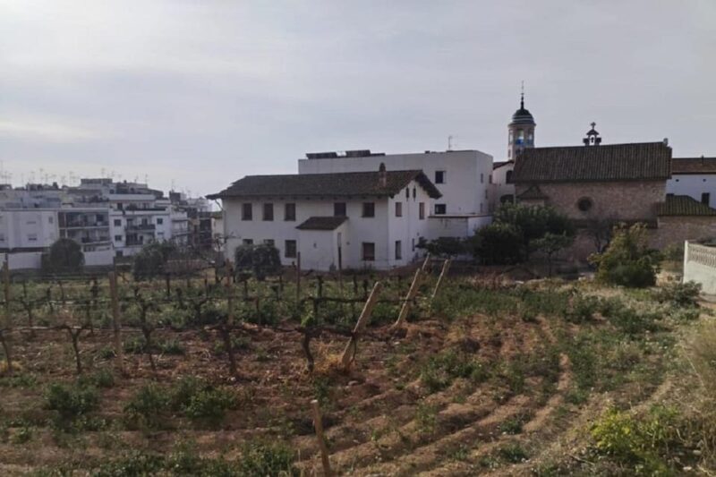 Sitges: Sailboat trip + walking tour and wine cellar tour - Frequently Asked Questions