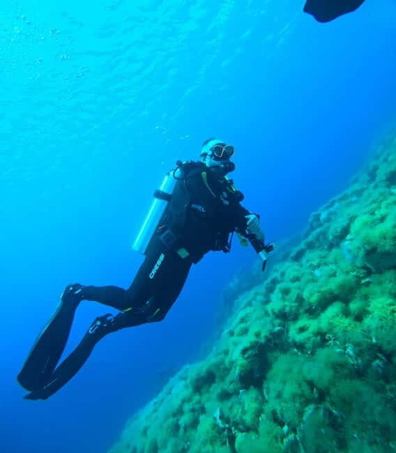 Sithonia: 1 Guided Shore Dive for Certified Divers - FAQs