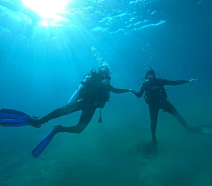 Sithonia: Half-Day Scuba Diving 2 Guided Shore Dives - What You Can Expect from This Half-Day Adventure