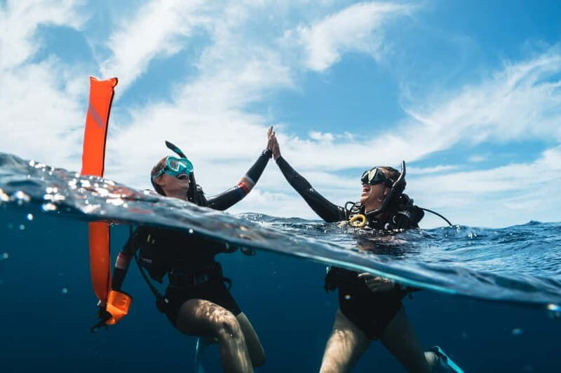 Sithonia: Half-Day Scuba Diving 2 Guided Shore Dives - Final Thoughts: Who Should Consider This Tour?