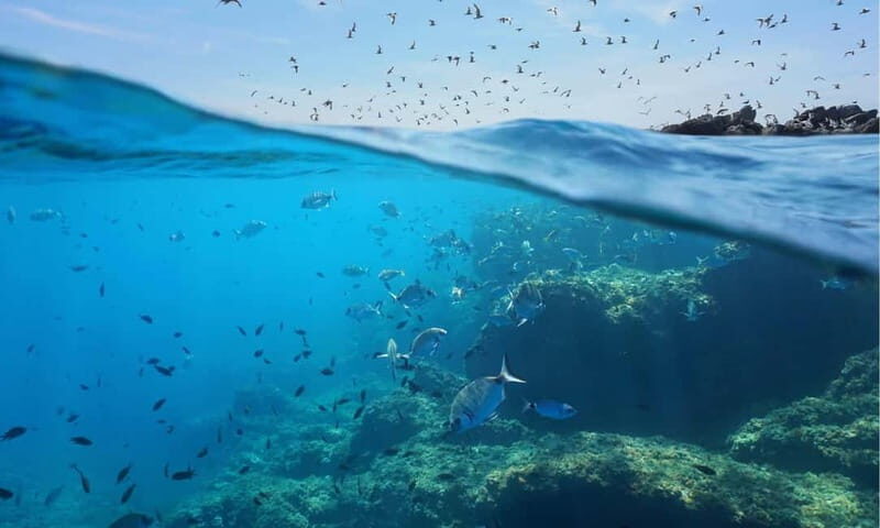 Sithonia: Half-Day Scuba Diving 2 Guided Shore Dives - FAQs