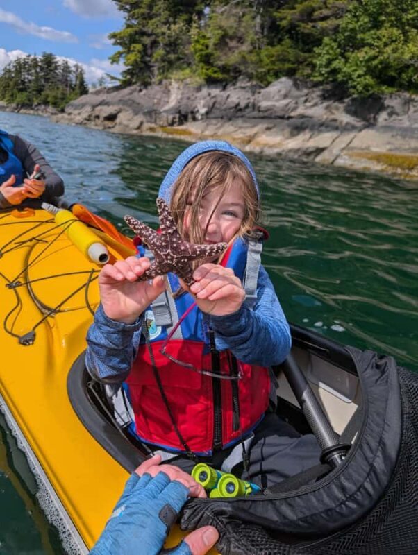 Sitka, Alaska: Island Discovery Kayak Tour - Final Thoughts: Is This Tour for You?
