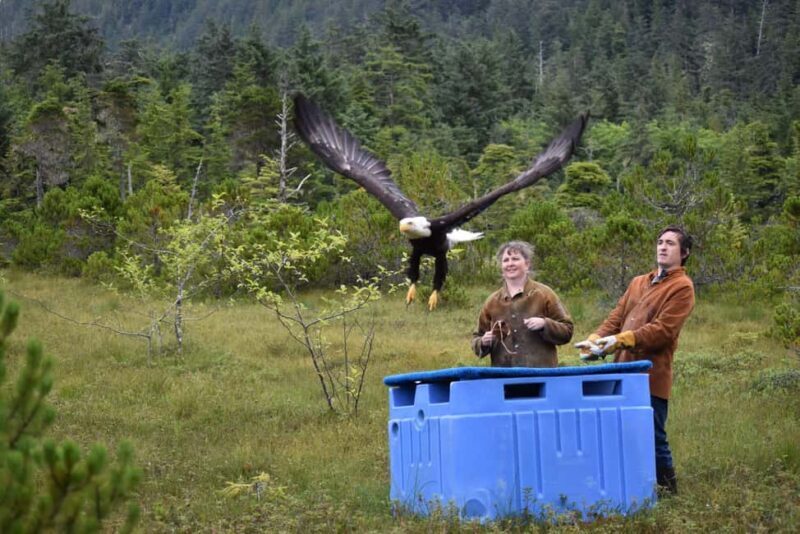 Sitka: Alaska Raptor Center Admission Ticket - Practical Details and Tips