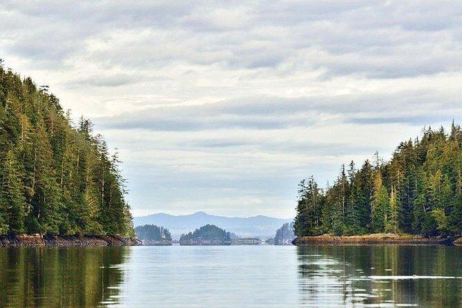 Sitka Boat and Sea Kayaking Adventure - A Closer Look at the Experience