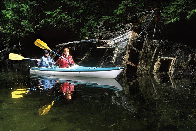 Sitka Boat and Sea Kayaking Adventure - Who Should Consider This Tour?