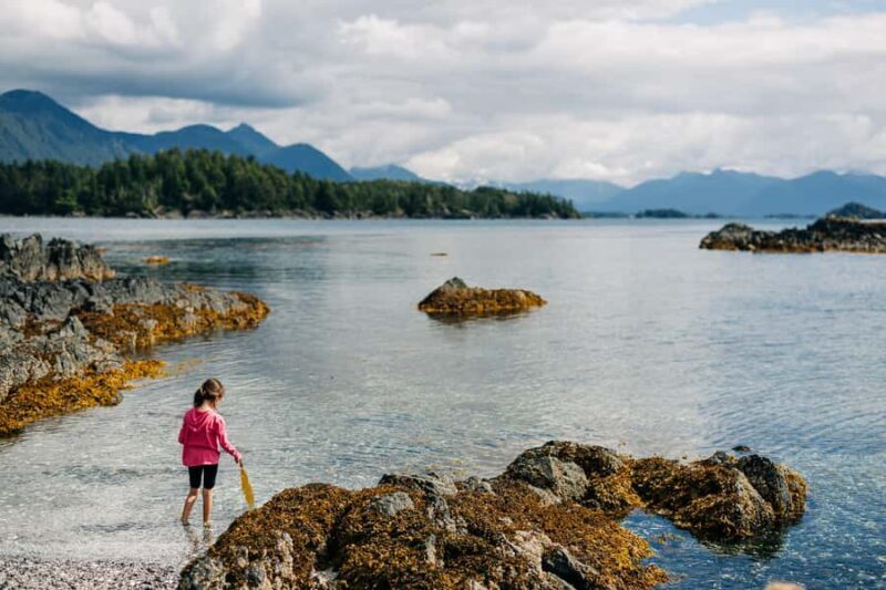 Sitka: Islands of Wonder Wildlife Adventure - Who Will Love This Tour?