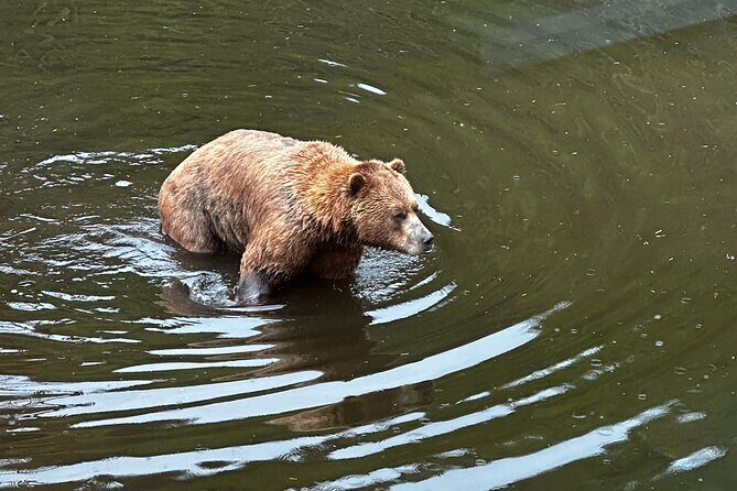 Sitka Private Adventure 4x4 Truck Tour & Lunch w/2 admissions - Who Is This Tour Best Suited For?