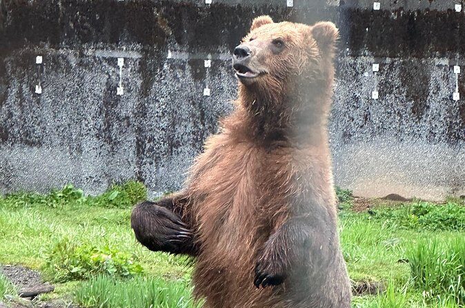 Sitka Scenic Private Tour - Pricing: Is It Worth It?