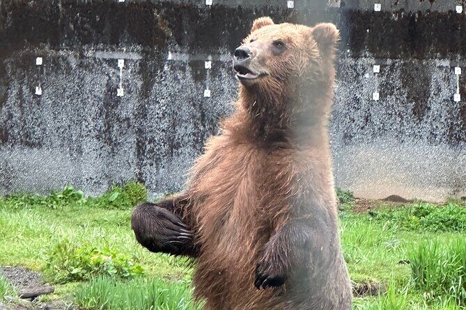 Sitka Scenic Private Tour - What Travelers Say