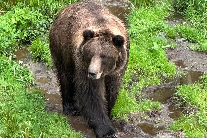 Sitka Scenic Private Tour - Frequently Asked Questions