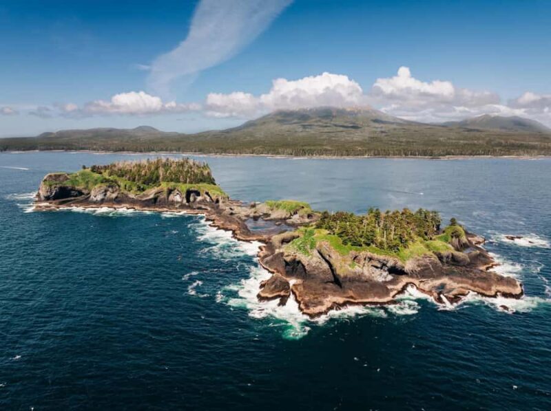 Sitka: Wildlife Photography Workshop on the Water - The Sum Up