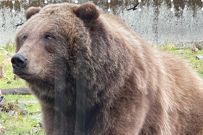 Sitka's Favorite Sites Private Land Tour for 6 (Meal option avail - The Itinerary in Detail