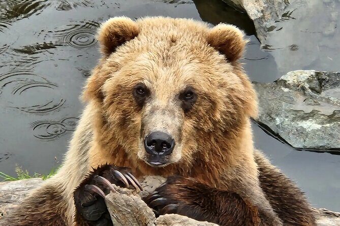 Sitka's only Private Simply Amazing Tour - The Itinerary in Detail