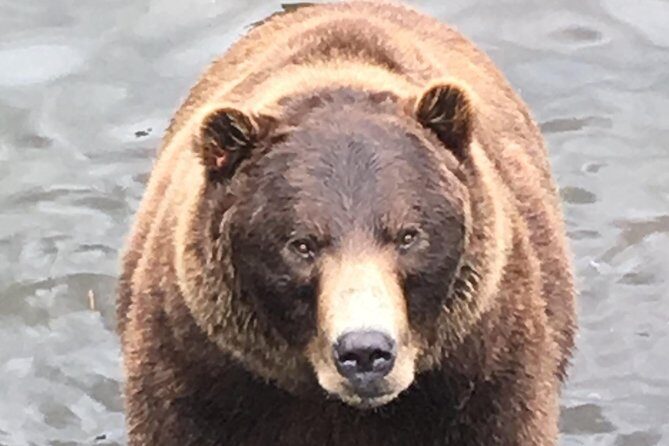 Sitka's only Private Simply Amazing Tour - Who Should Consider This Tour?