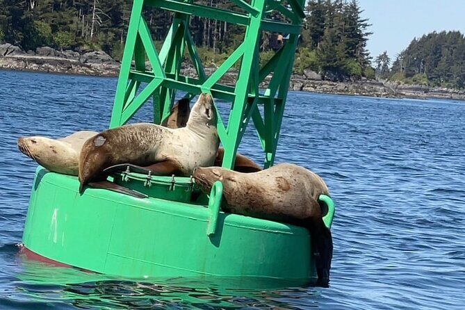 Sitkas Private Wildlife Whale Adventure for 6 w/Transportation - FAQ