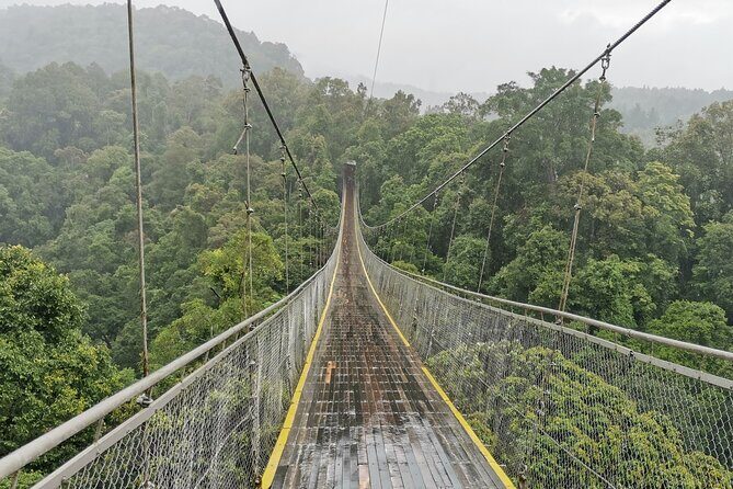 Situ Gunung Waterfall & Suspension Bridge Sukabumi start Jakarta - The Practical Details and What to Expect