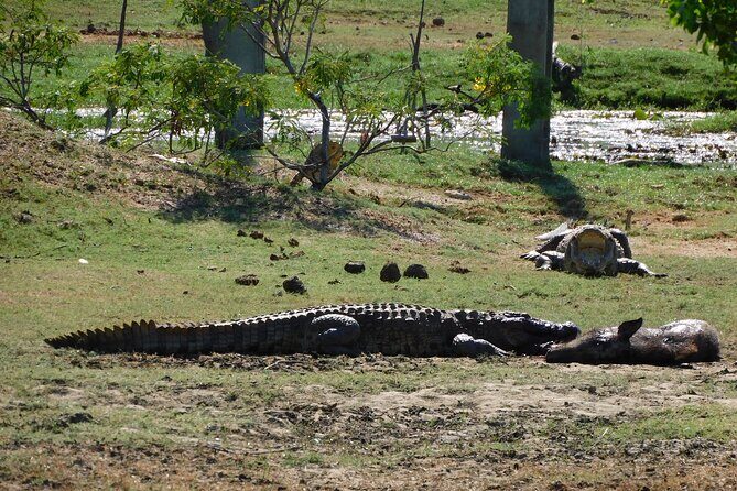 Situlpawwa Temple Visit with Yala National Park outside Safari - An Overview of What You Can Expect
