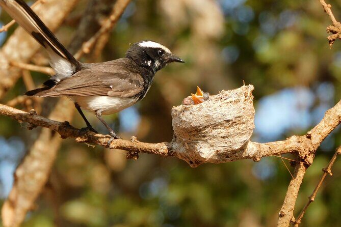 Situlpawwa Temple Visit with Yala National Park outside Safari - Considerations for Travelers