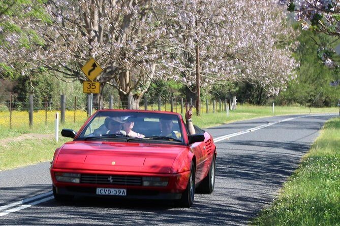 Six-Bridges-of-Sydney-Vintage-Car-Ride-Experience - Who Should Consider This?
