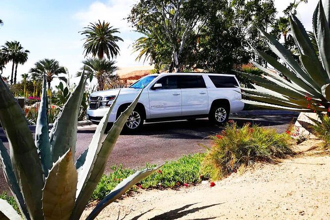 SJD Airport to San Jose del Cabo - one way service - Key Points
