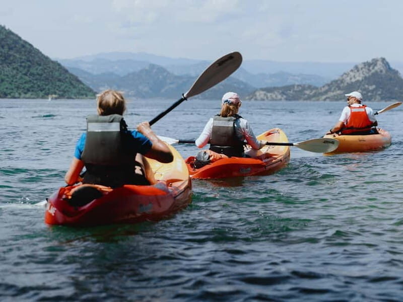 Skadar Lake: 4-Hour Guided tours on Kayak - The Itinerary: A Day of Scenic Paddling