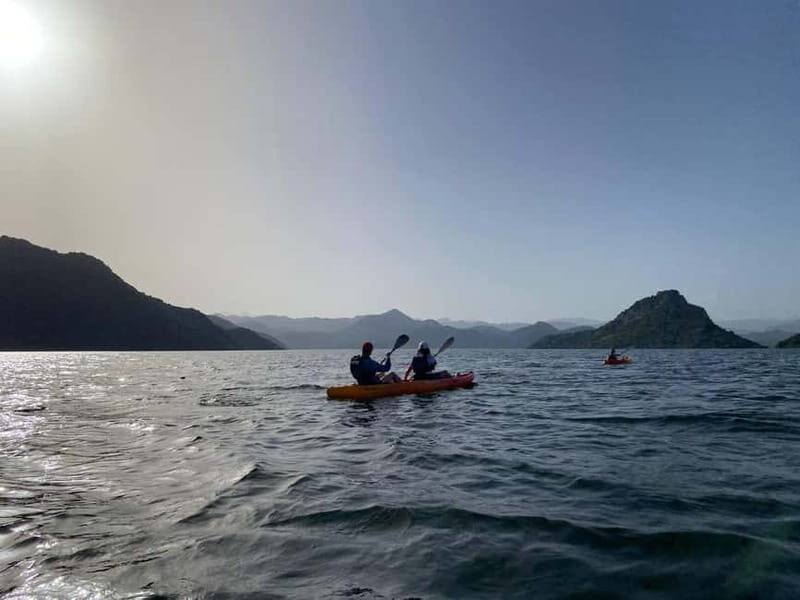 Skadar Lake: 4-Hour Guided tours on Kayak - Final Thoughts on Value and Suitability
